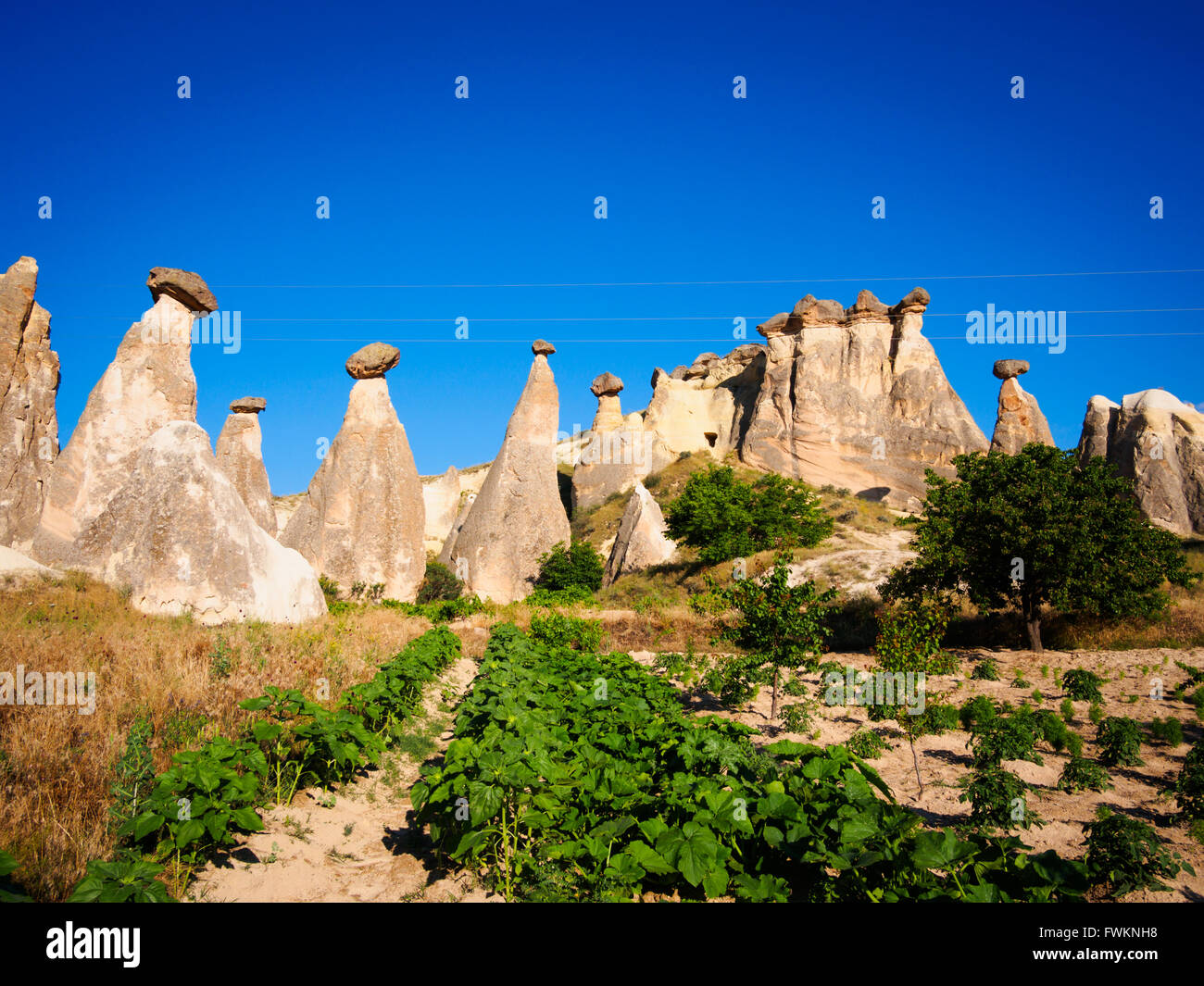 Mushroom rock cappadocia hi-res stock photography and images - Alamy
