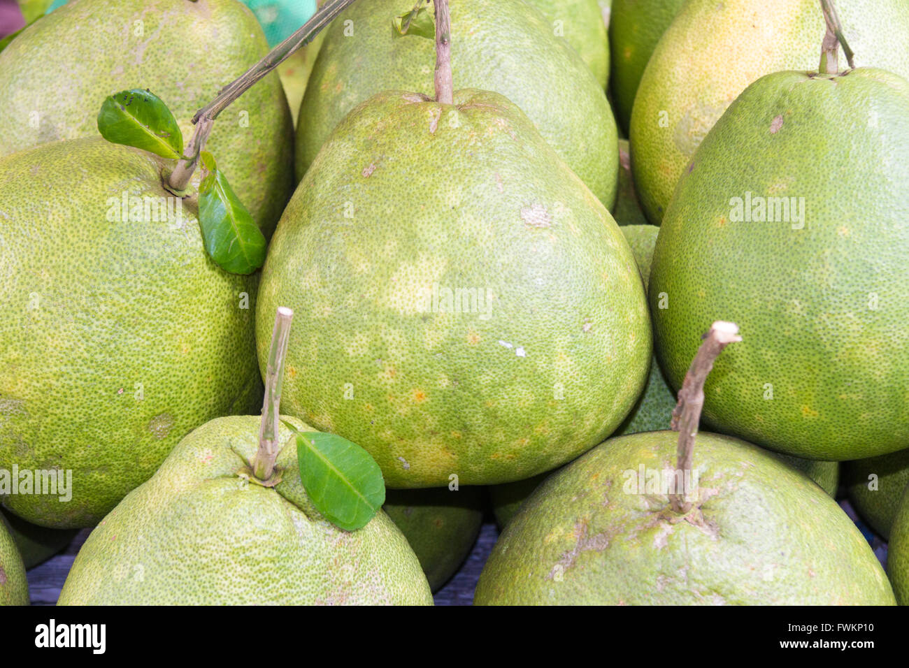 pomelo fruit msrket stall Bangkok Thailand Stock Photo - Alamy