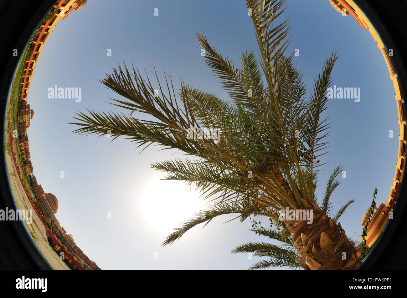 Blue Circle Around Eye High Resolution Stock Photography and Images - Alamy