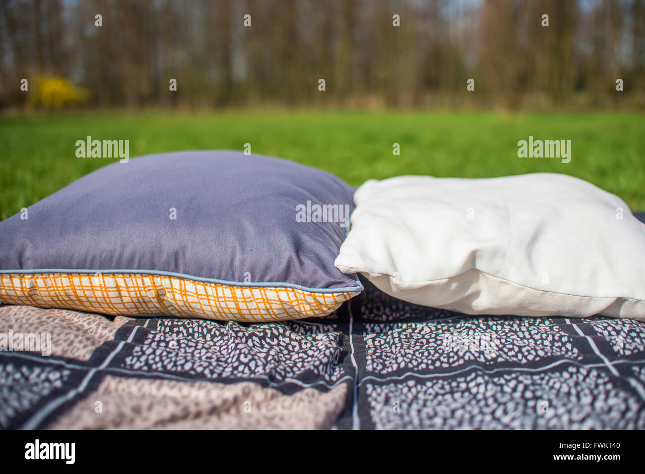 picnic blanket with pillow on the grass field Stock Photo - Alamy