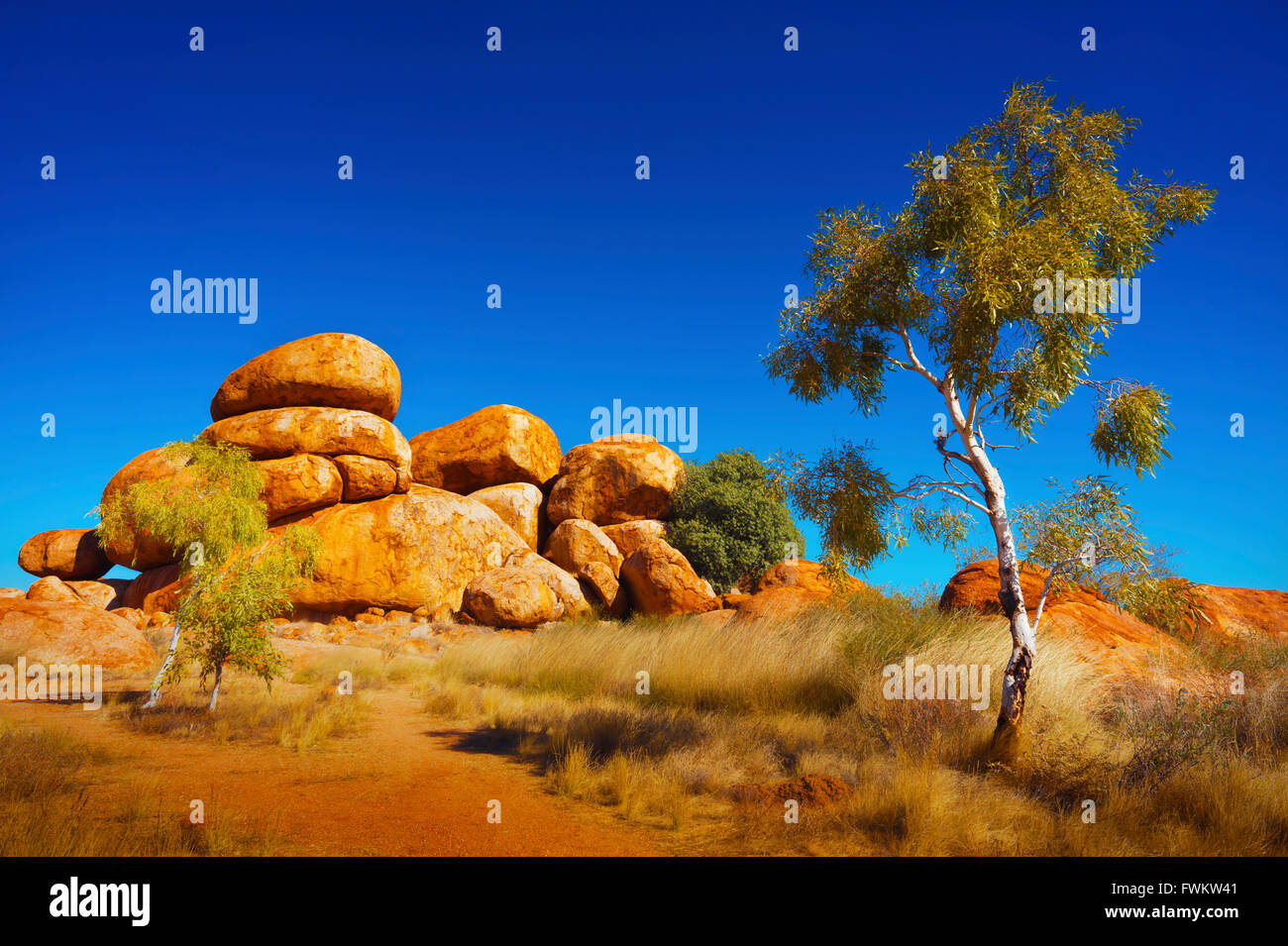 Australian outback scrub desert australia hi-res stock photography and ...
