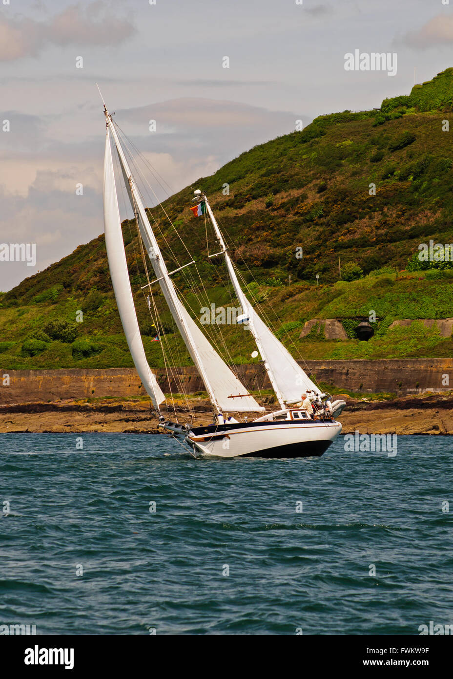 Yacht sailing in Cork Harbour, County Cork, Ireland Stock Photo - Alamy