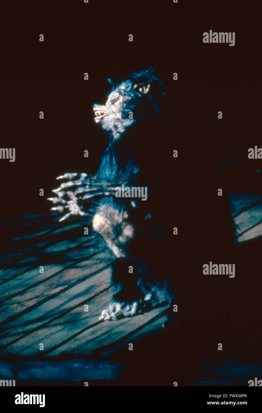 Werewolf Of Fever Swamp Art