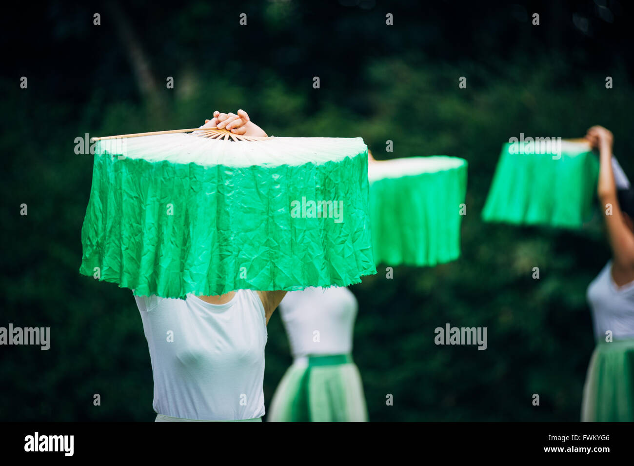 Green day fans hi-res stock photography and images - Alamy