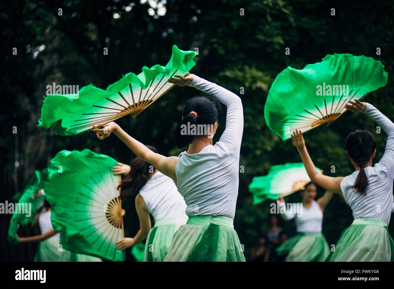 Green day fans hi-res stock photography and images - Alamy