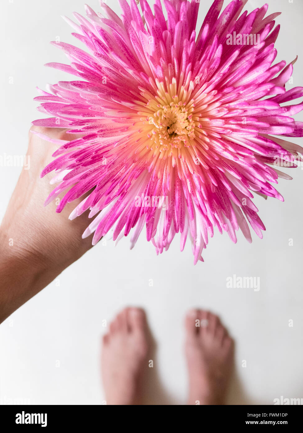 Hand Flower High Resolution Stock Photography and Images - Alamy