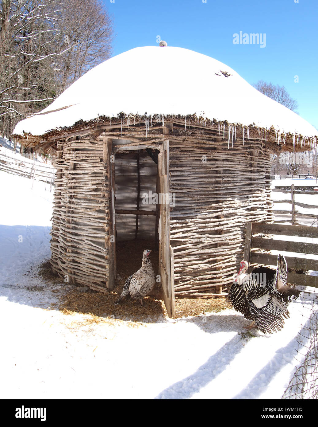 hen house in the wintertime Stock Photo - Alamy