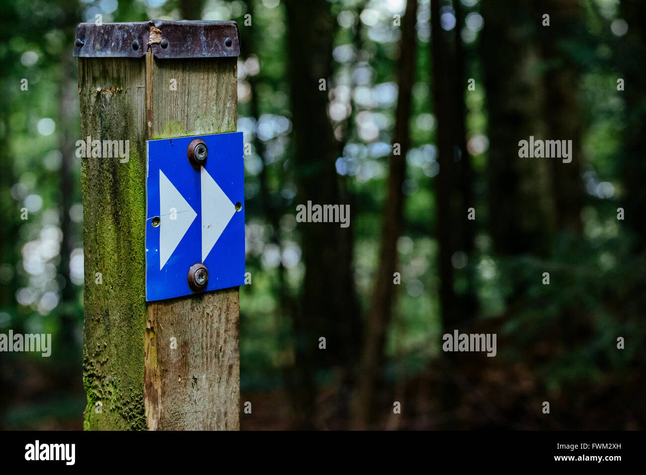 Arrow on an sign hi-res stock photography and images - Alamy