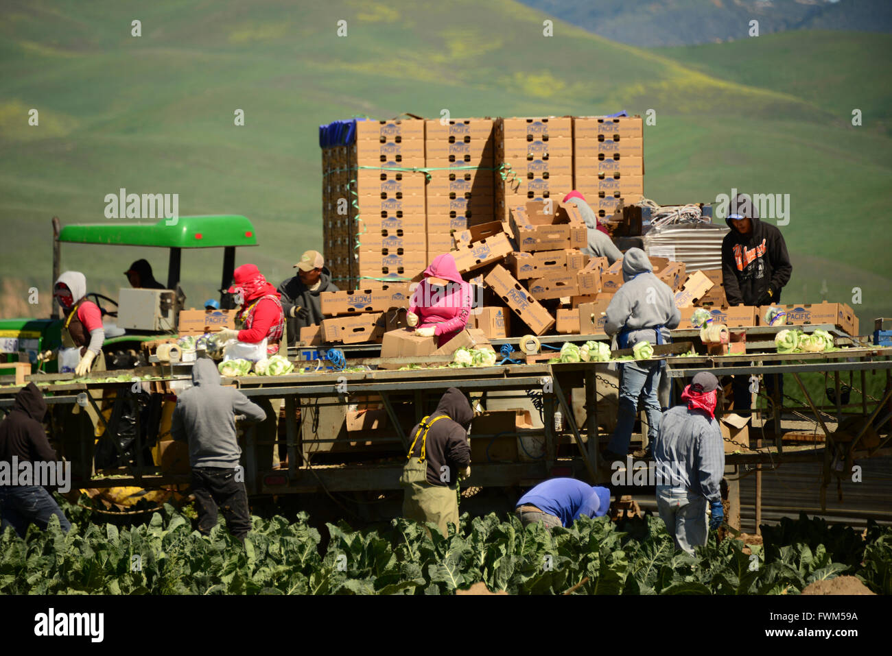 Hispanic Workers Usa California High Resolution Stock Photography and ...
