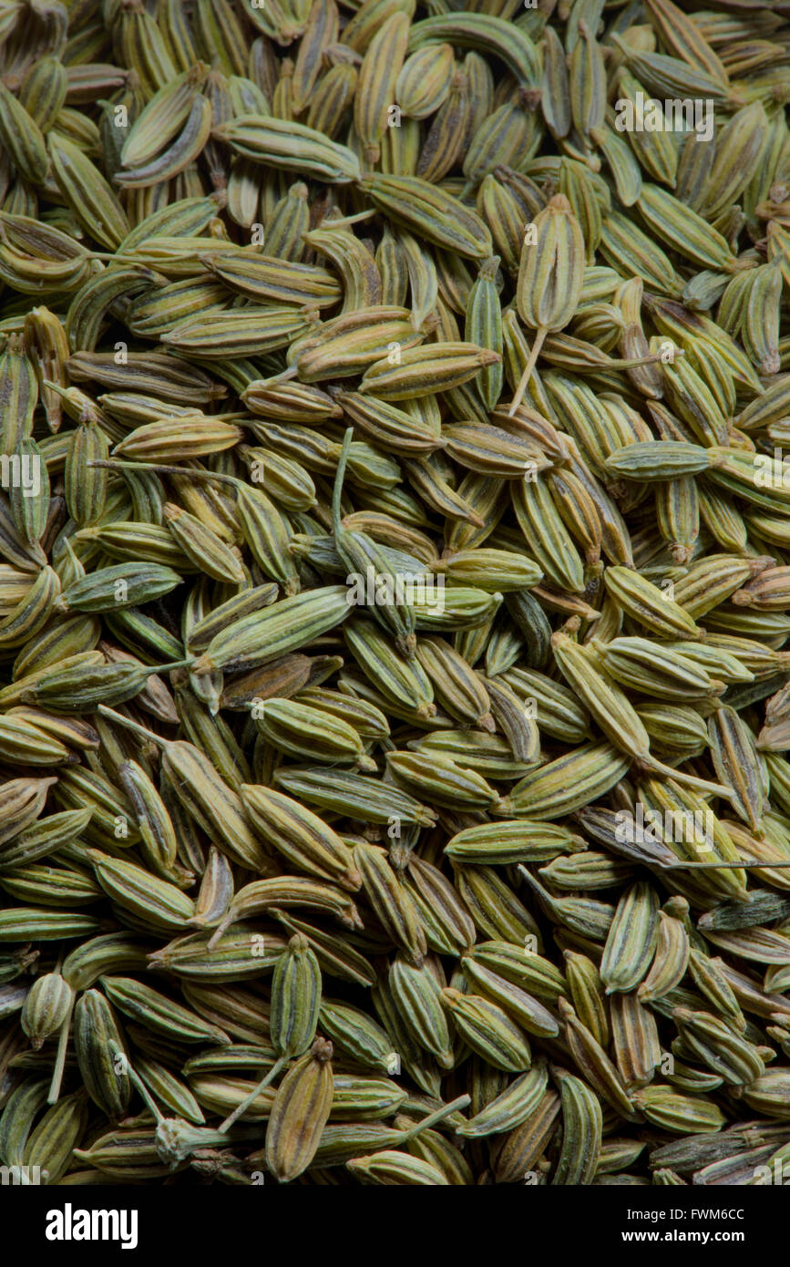 Fennel seeds close up background image of fresh herb Stock Photo - Alamy