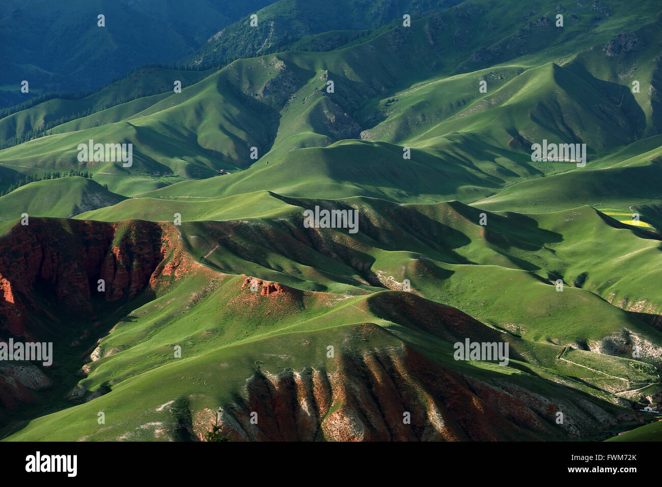 Plateau scenery of Qinghai Province, China Stock Photo - Alamy