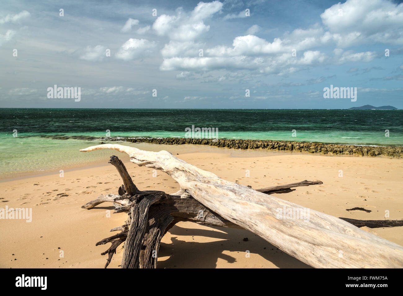 Indigenous and non indigenous australia hi-res stock photography and ...