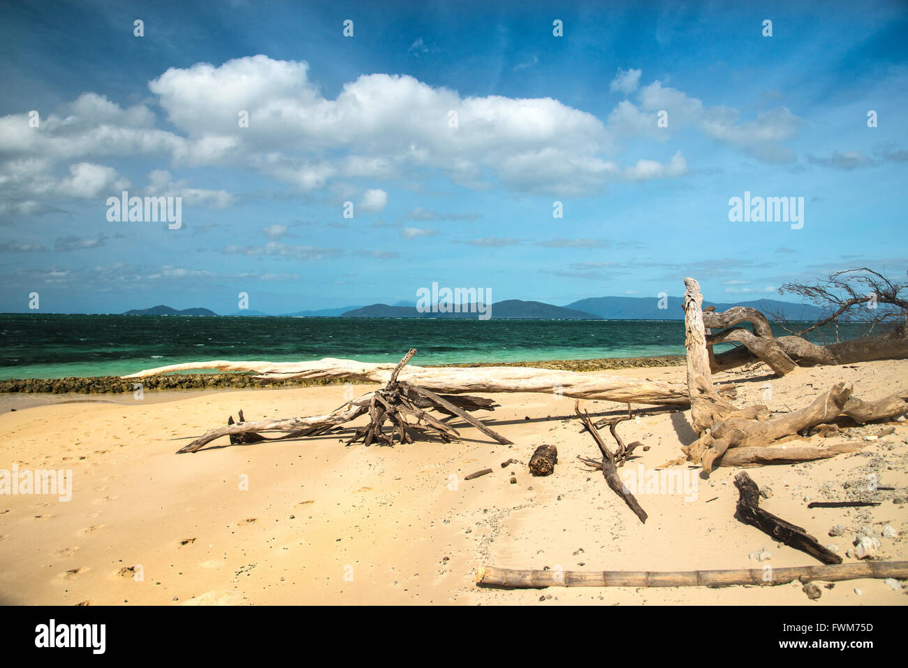 Indigenous and non indigenous australia hi-res stock photography and ...