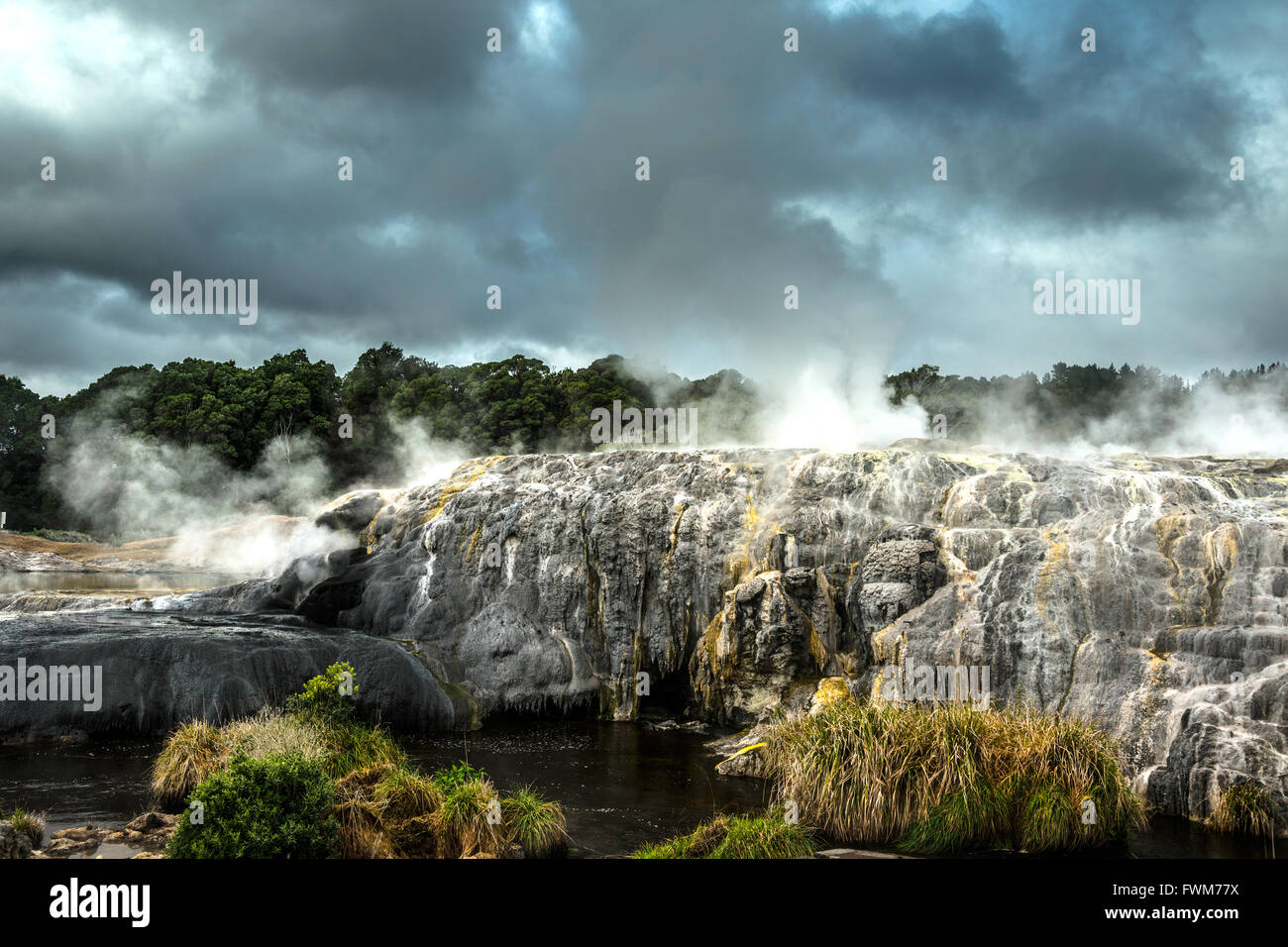New Zealand Rotorua Maori village scenery Stock Photo - Alamy