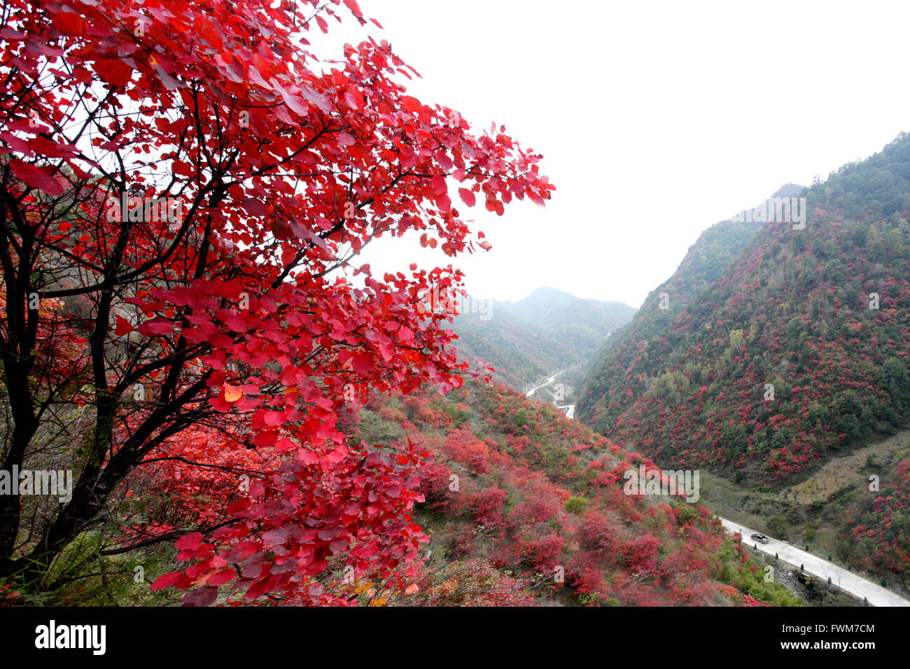 Autumn in Lushi County of Henan Province,China Stock Photo - Alamy