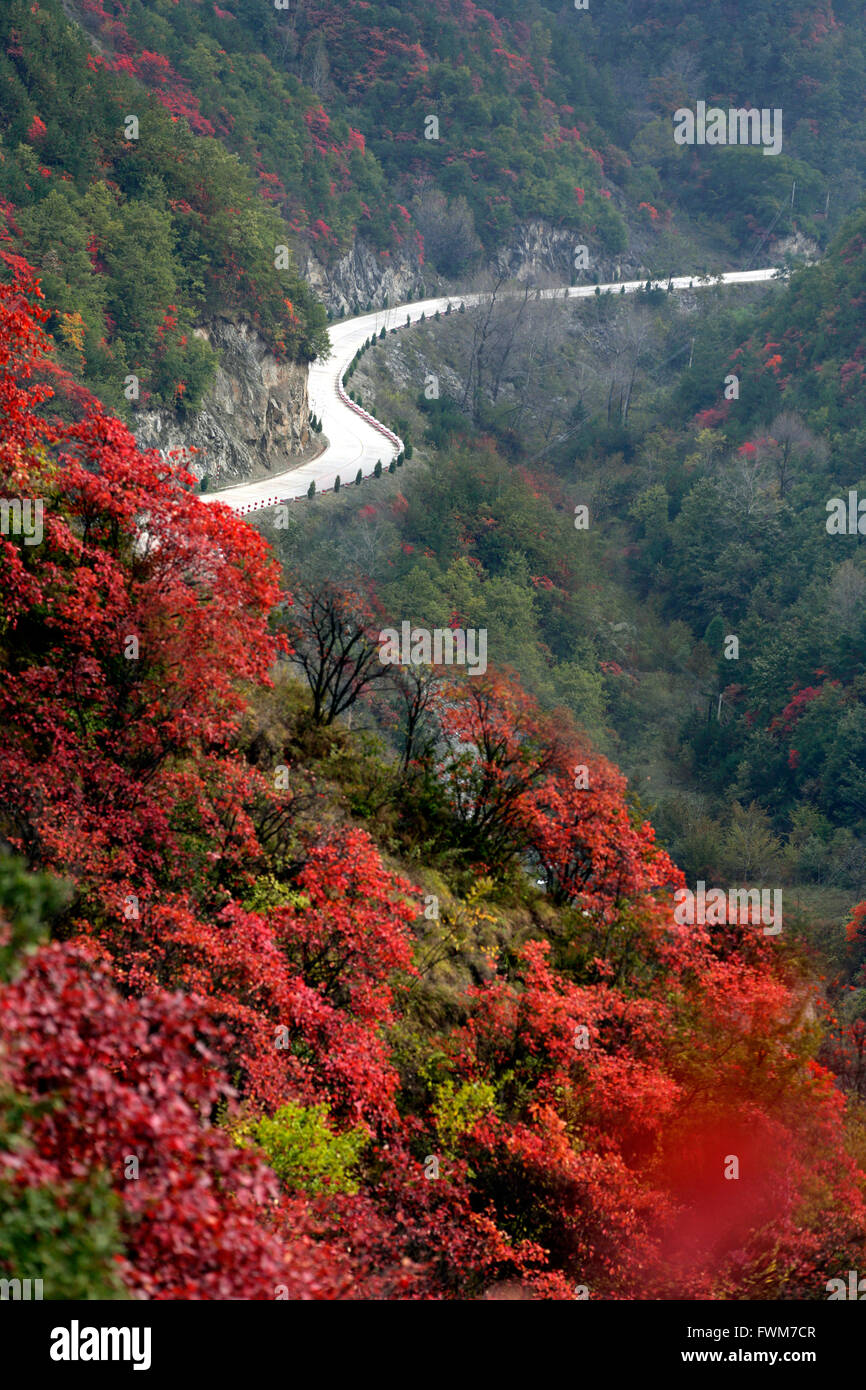 Lushi county hi-res stock photography and images - Alamy