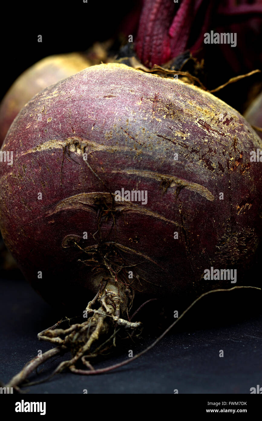 Root Texture High Resolution Stock Photography and Images - Alamy