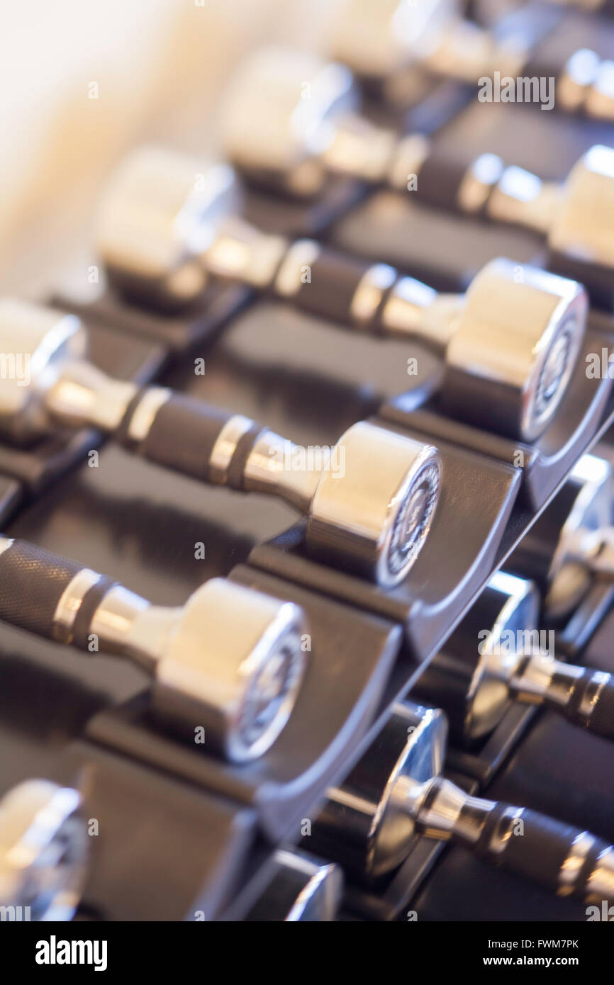 small dumbbell weights in personal gym Stock Photo - Alamy