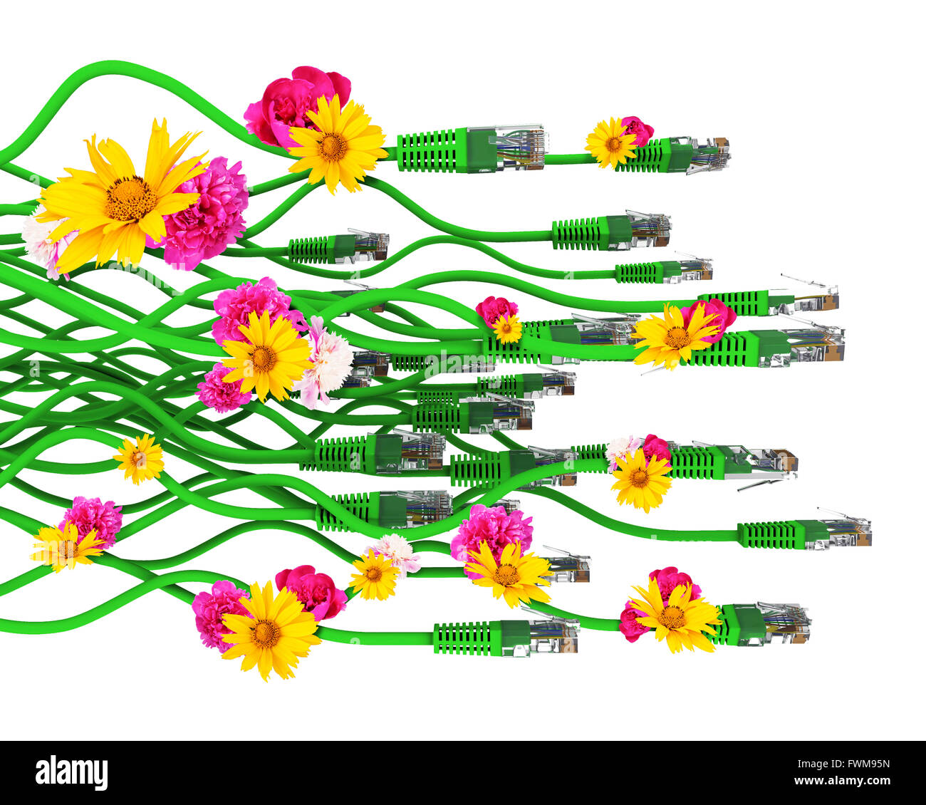 Fiber optics, connections hi-res stock photography and images - Alamy