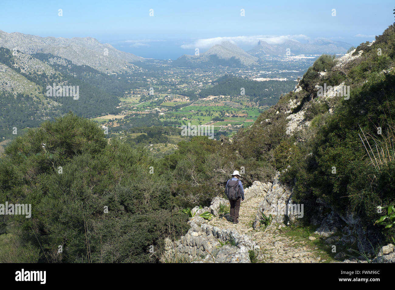 Mule track hi-res stock photography and images - Alamy