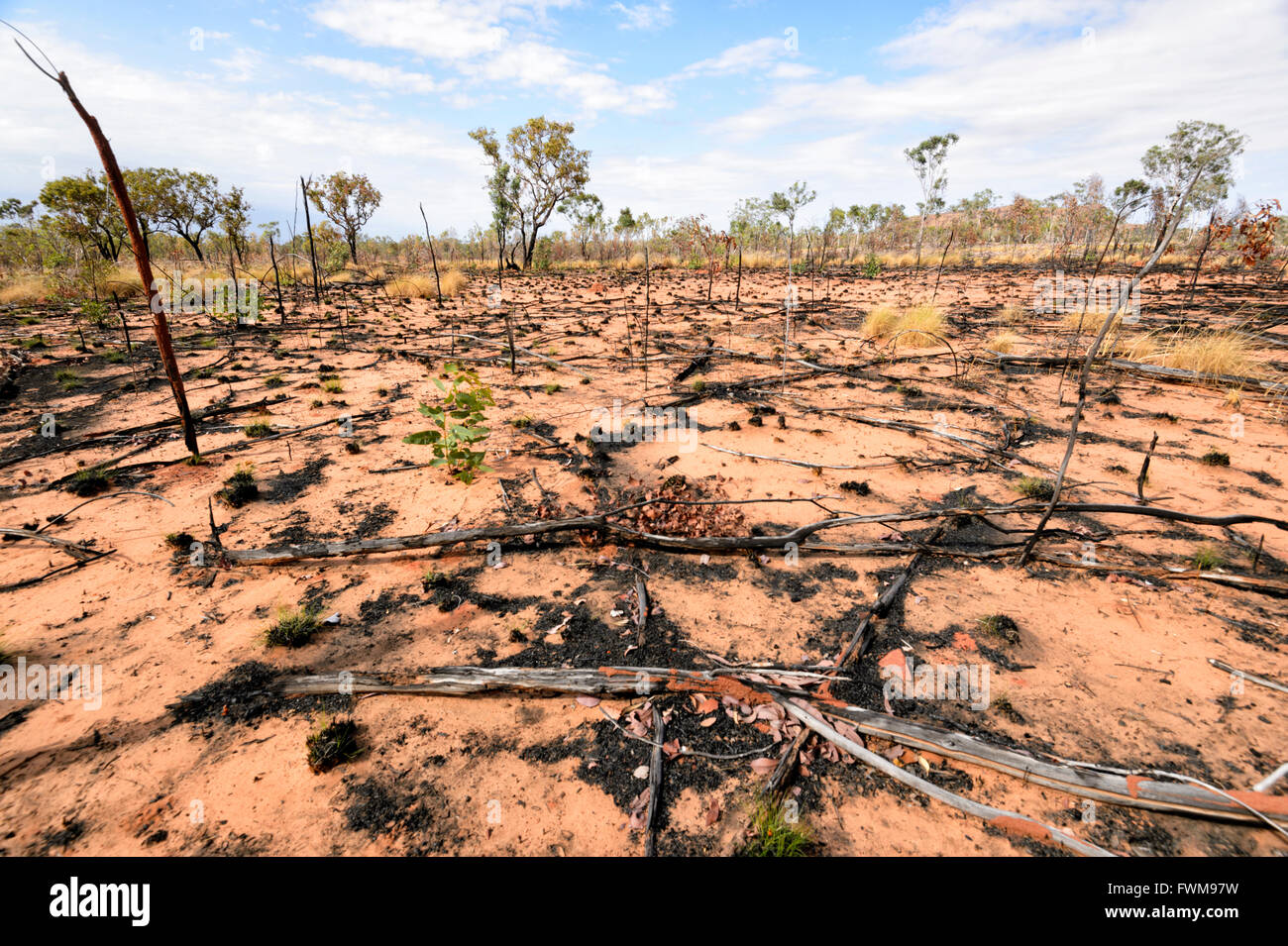 Bushfire Damage, Keep River National Park, Northern Territory, NT ...