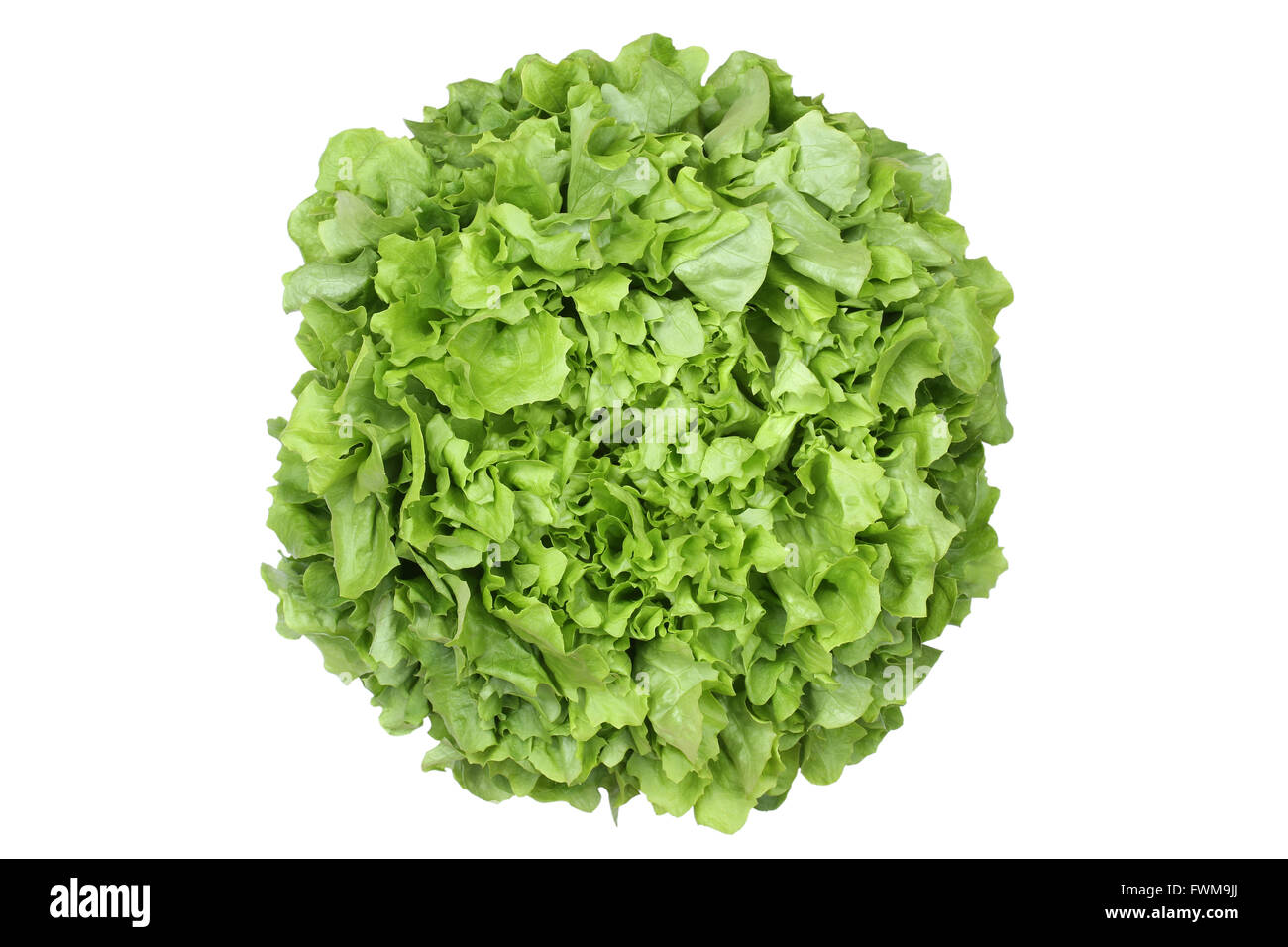 Lettuce vegetable top view isolated on a white background Stock Photo ...