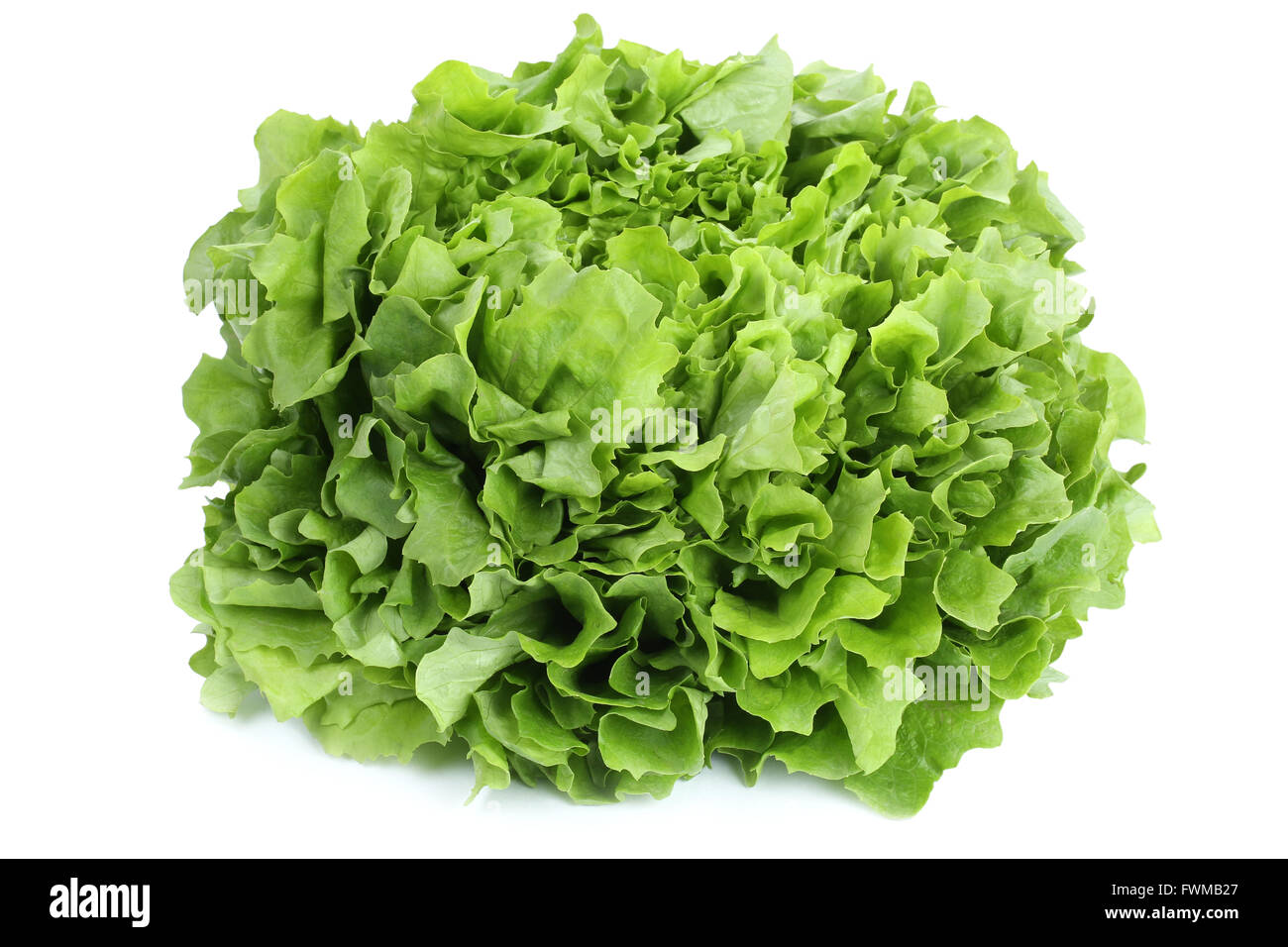 Lettuce vegetable isolated on a white background Stock Photo - Alamy