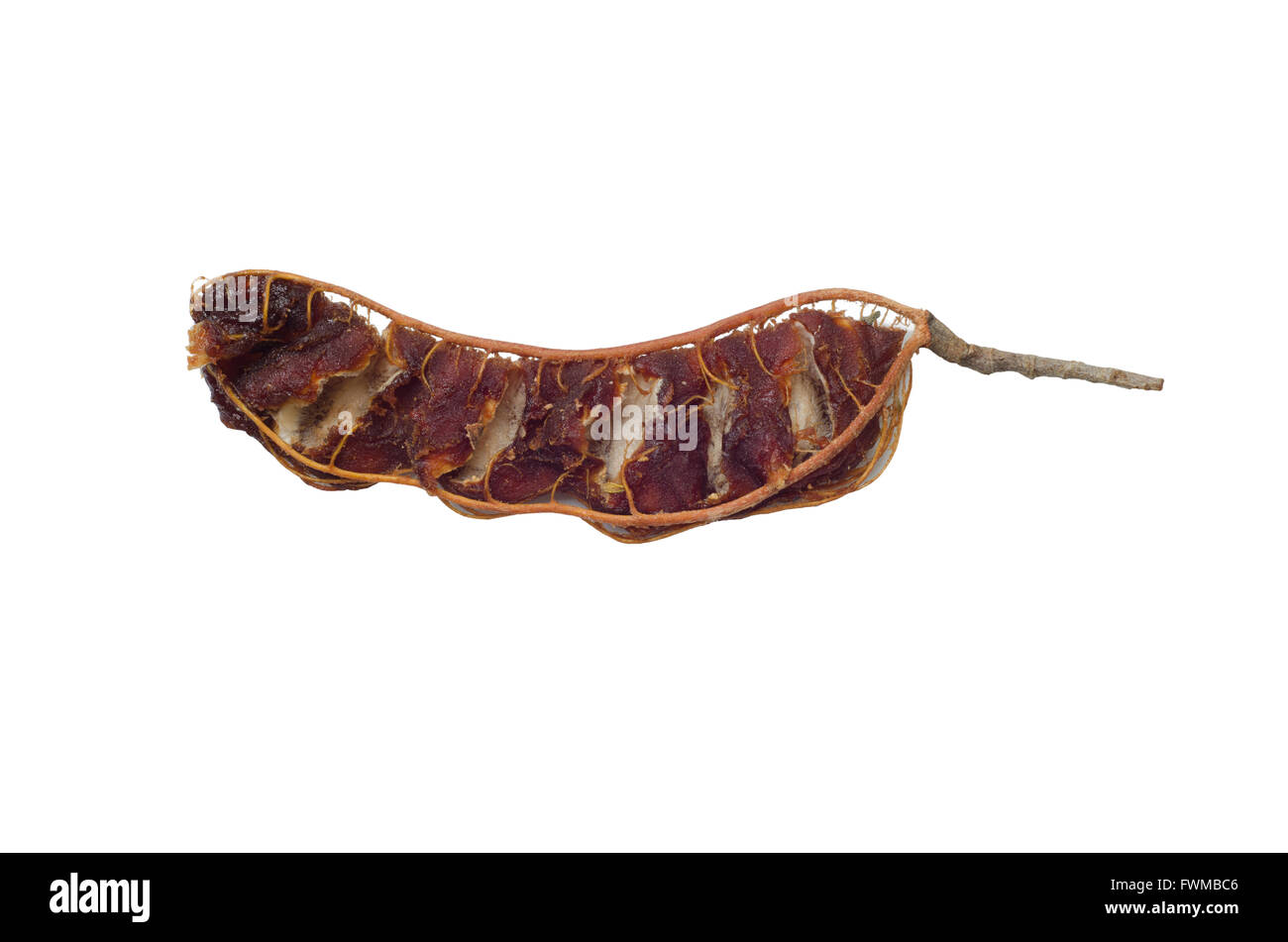 Ripe tamarind isolated on white background Stock Photo - Alamy
