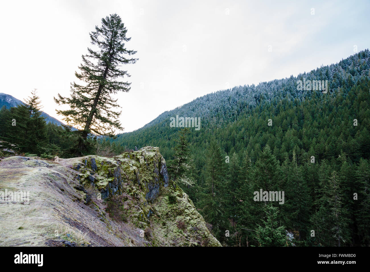 Large rock outcropping overlooking a 200 foot drop amidst the ...