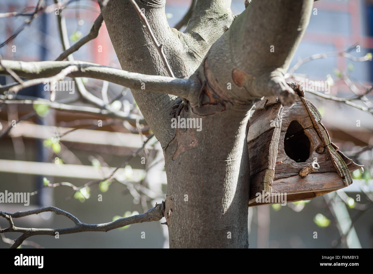 Color image of wooden hand crafted bird nest house in a tree Stock ...