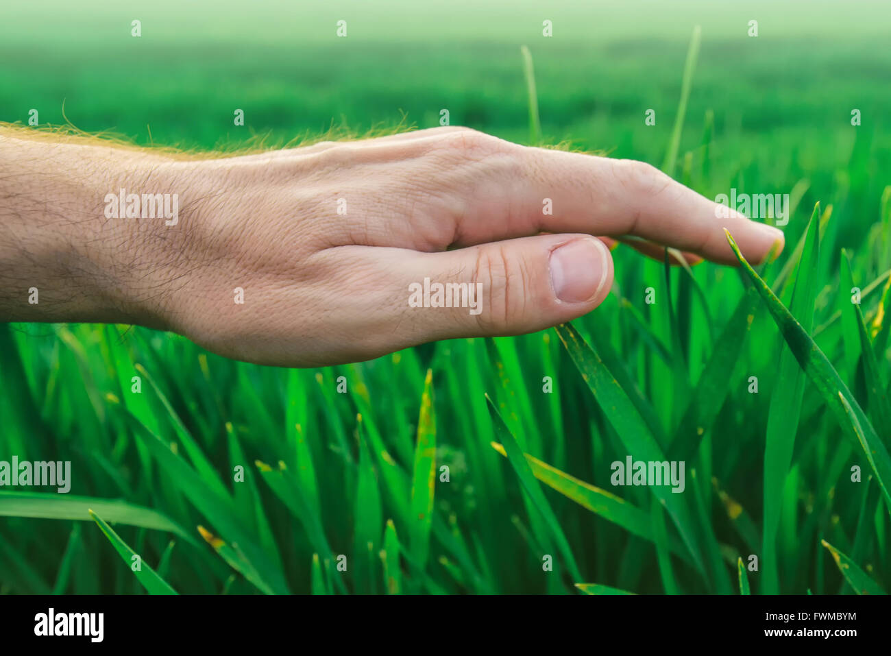 Production farmer hi-res stock photography and images - Alamy