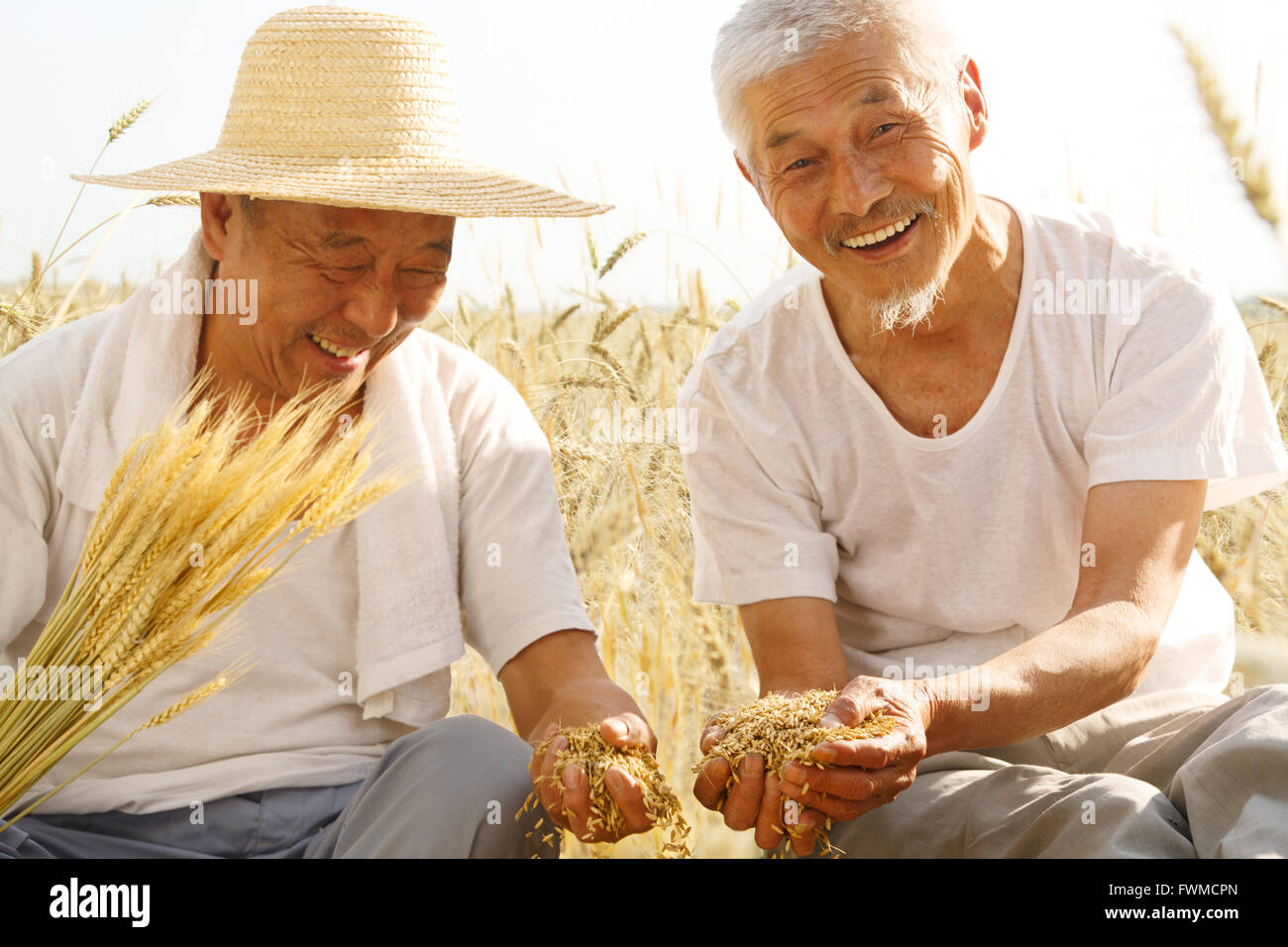 Portrait of two farmers in field Stock Photo - Alamy