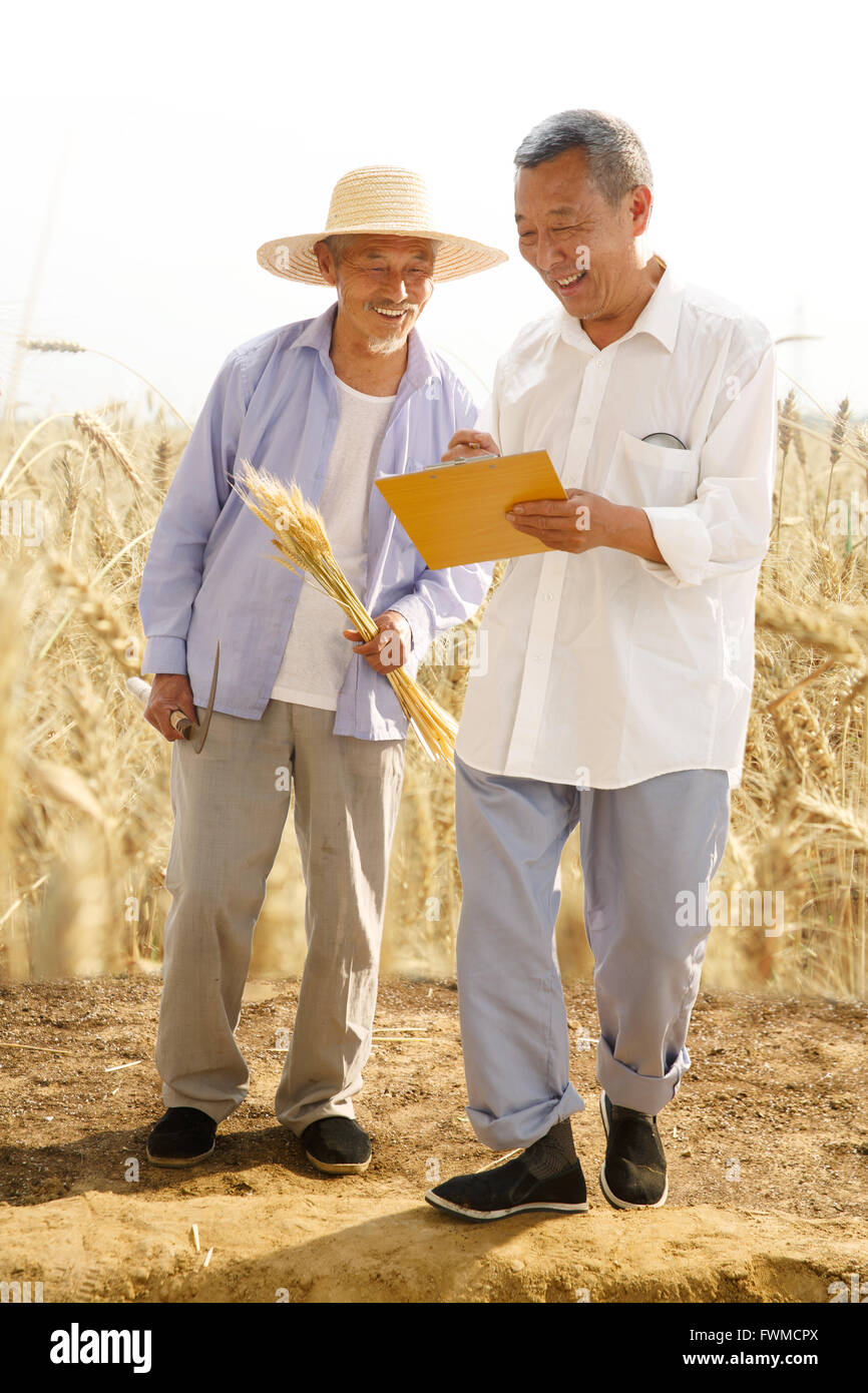 Two farmers in field Stock Photo - Alamy