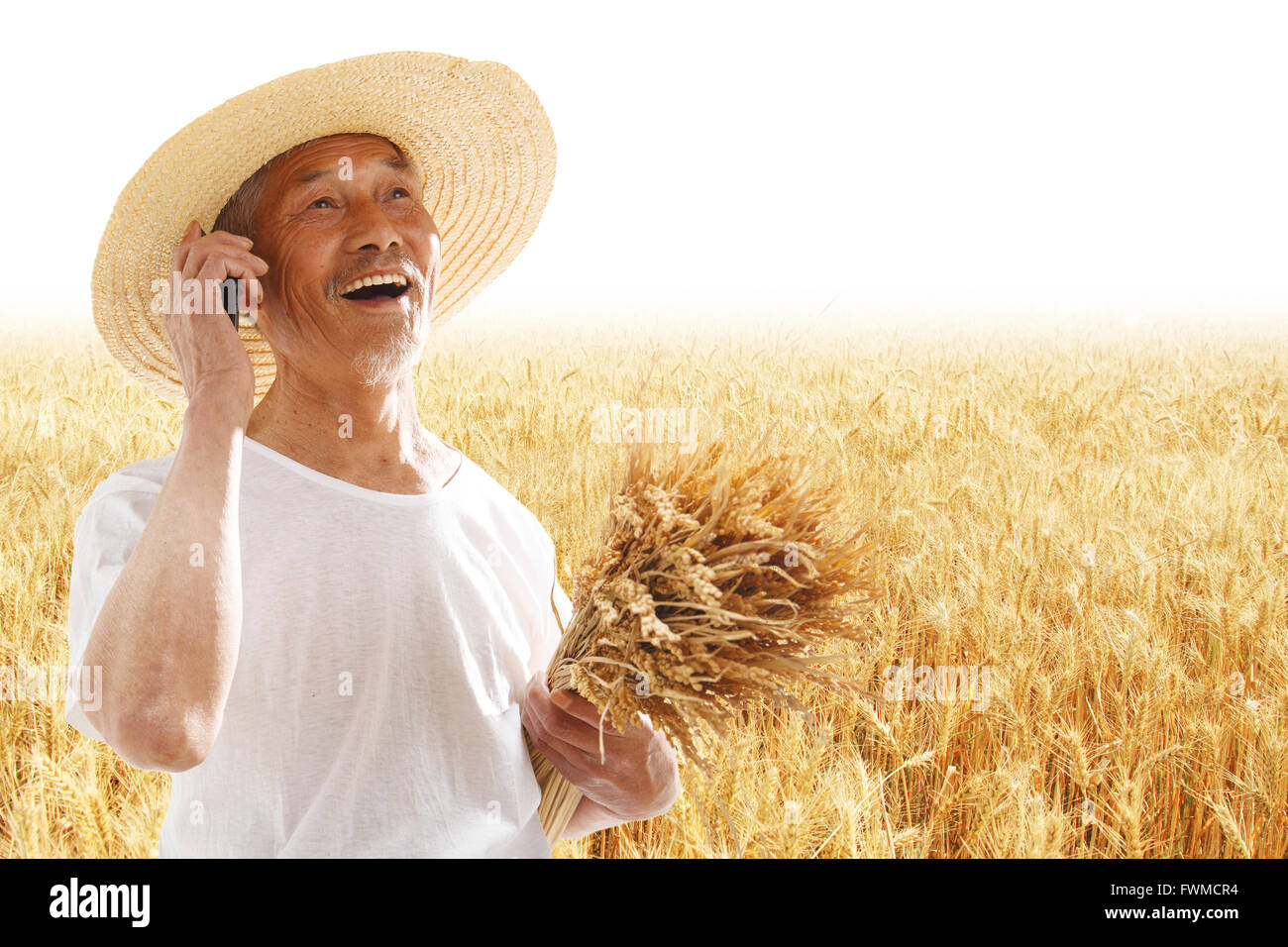 Farmer harvesting in field Stock Photo - Alamy