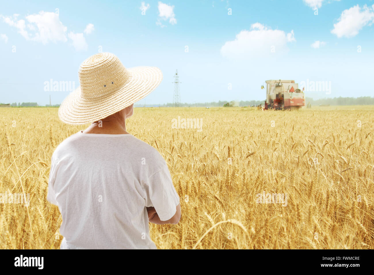 Farmer harvesting in field Stock Photo - Alamy