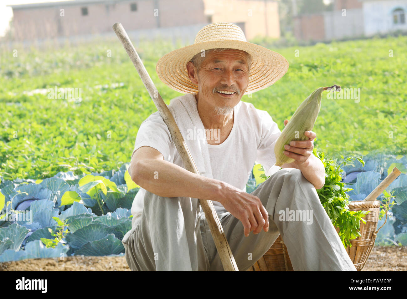 Farmer harvesting in field Stock Photo - Alamy