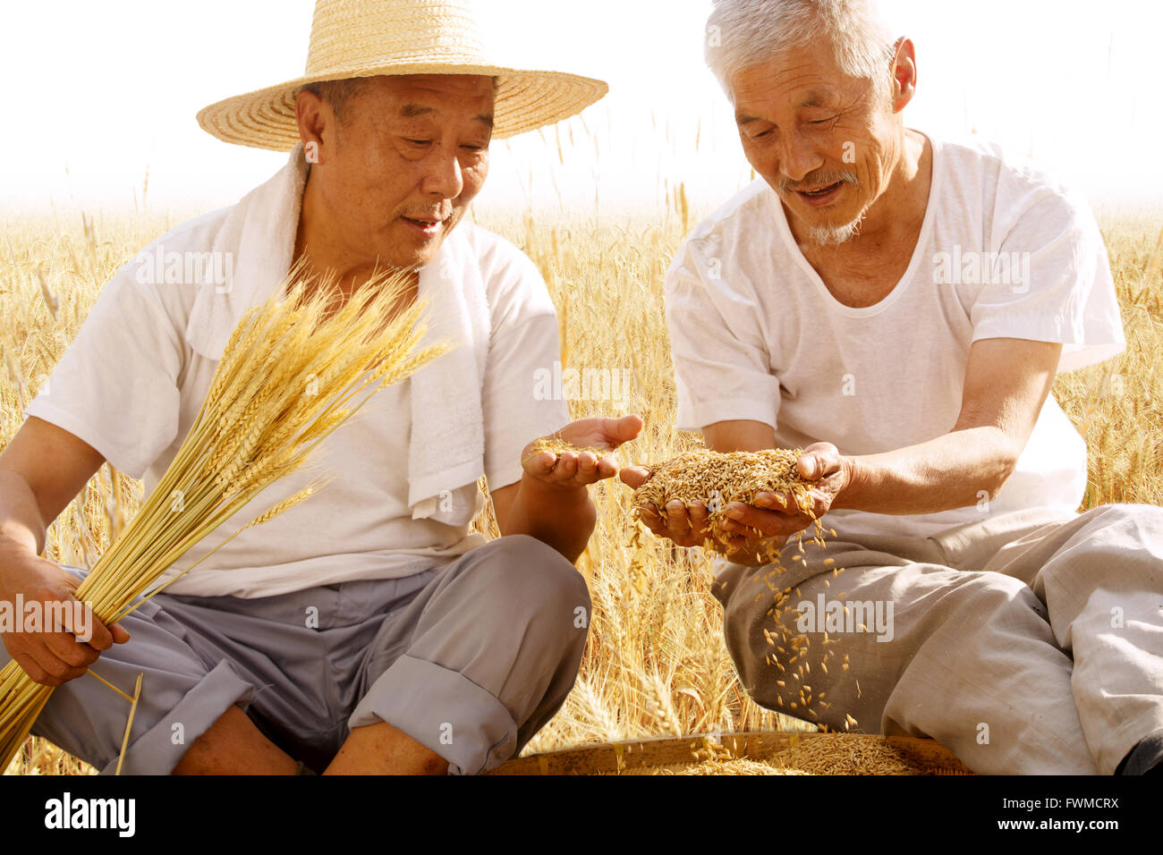 Farmer harvesting in field Stock Photo - Alamy