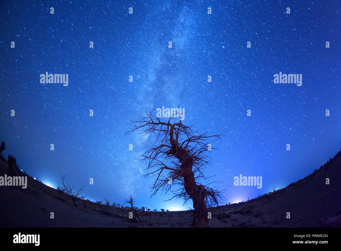Ejin banner hi-res stock photography and images - Alamy