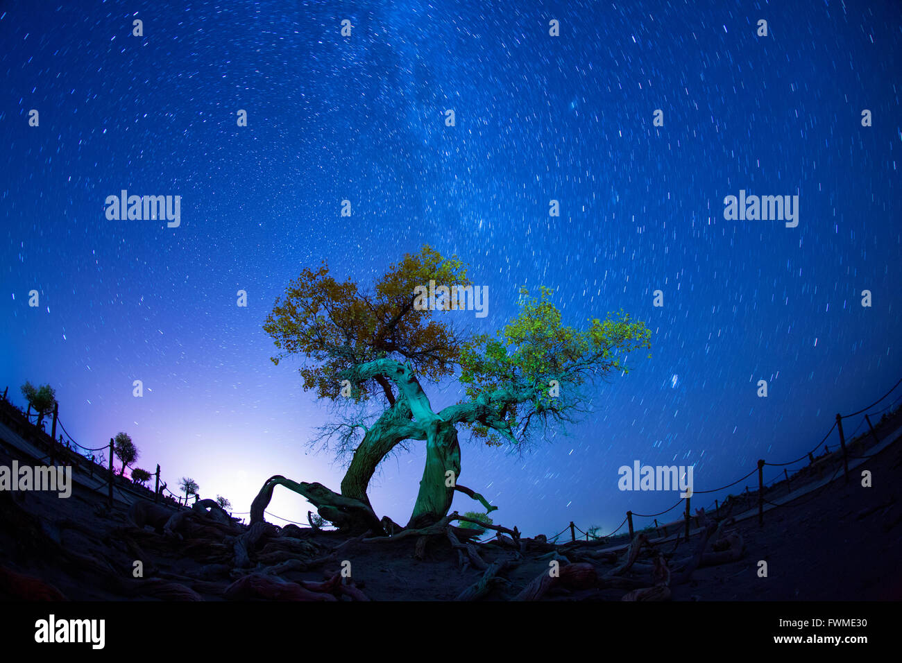 Ejin Banner High Resolution Stock Photography and Images - Alamy