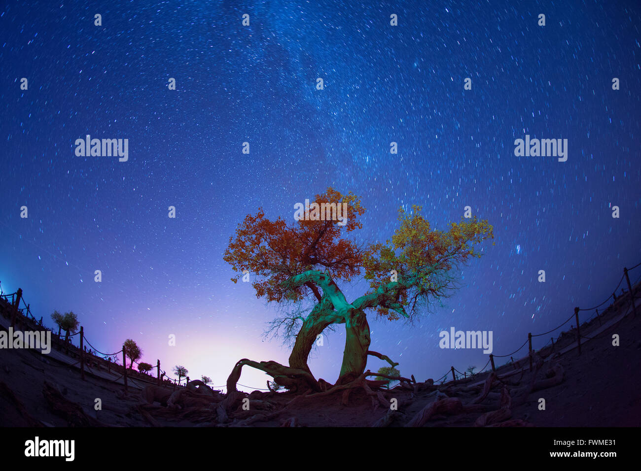 Ejin banner hi-res stock photography and images - Alamy