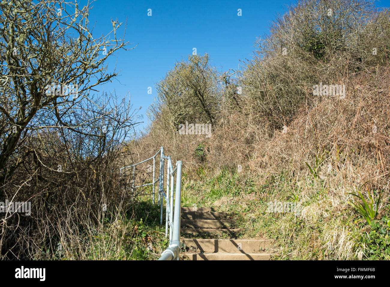 Country path with steps and railings hi-res stock photography and ...