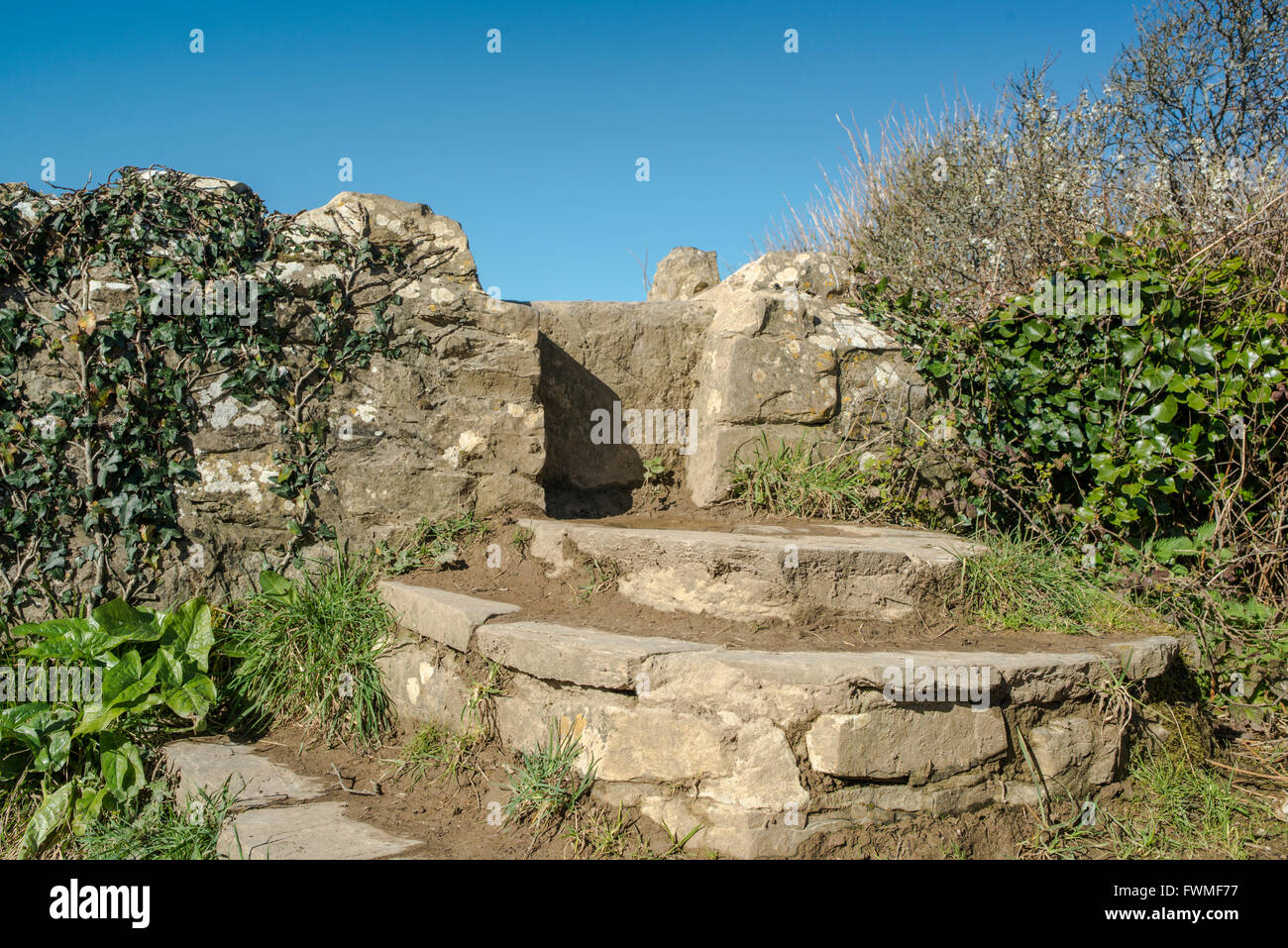 Stone steps leading up to a stile set in a stone wall Stock Photo - Alamy