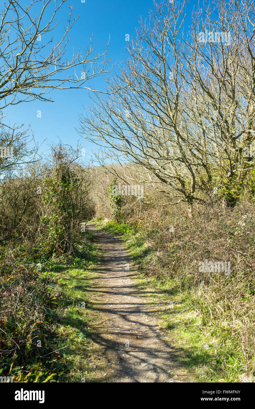 Footpath along coast hi-res stock photography and images - Alamy