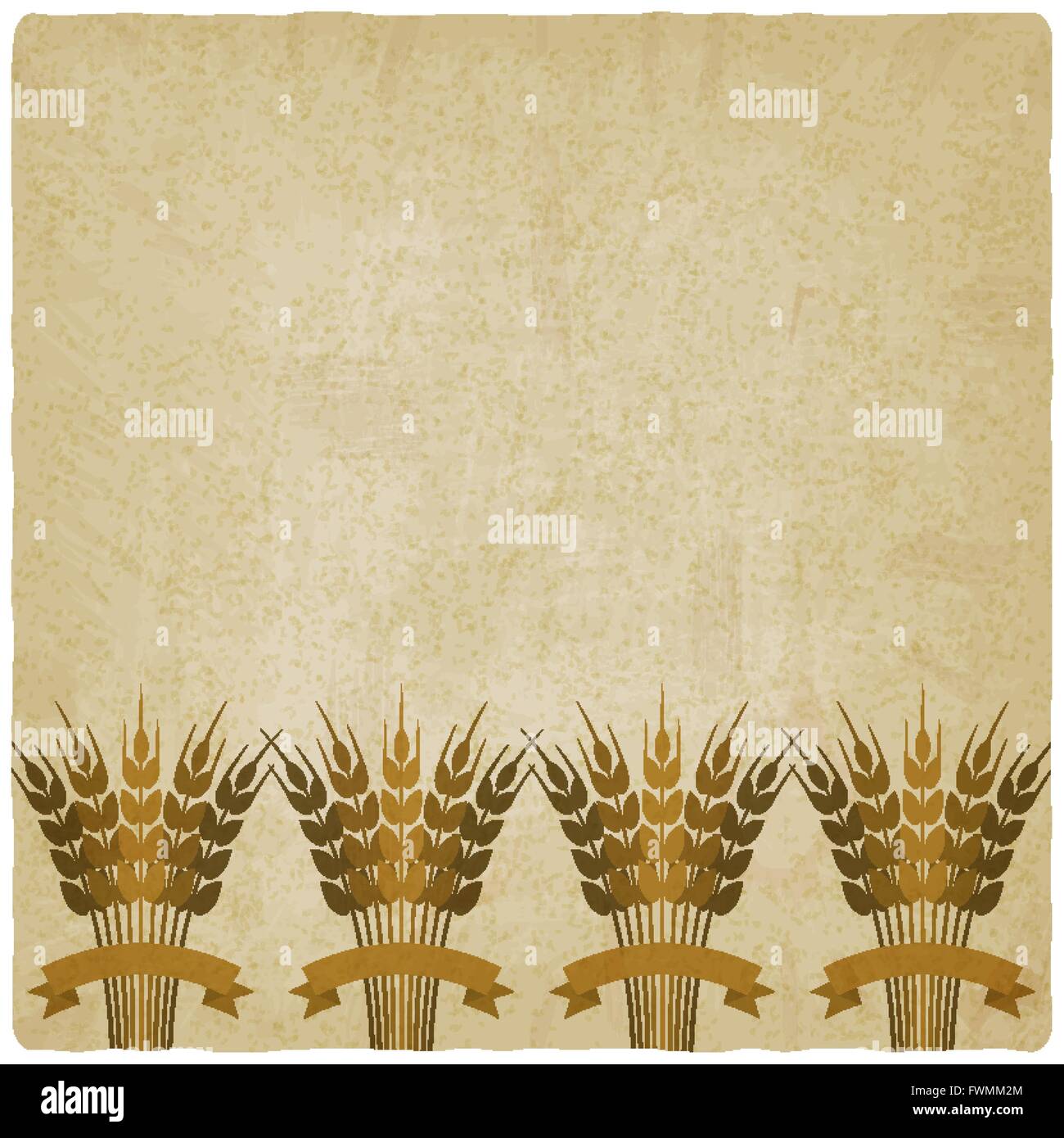 Golden sheafs of wheat with ribbons on vintage background. vector ...