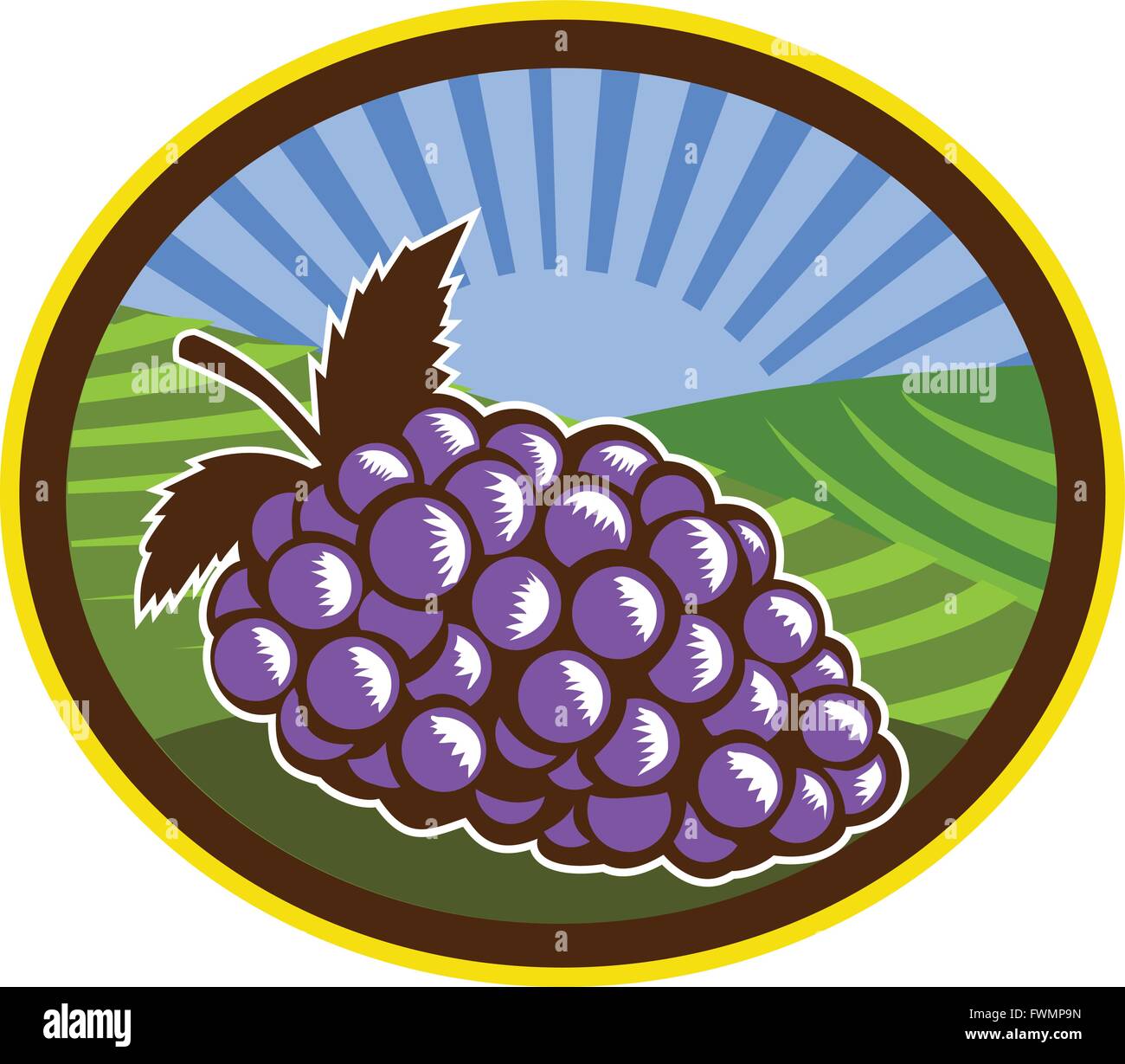 Illustration of a bunch of grapes set inside oval shape with farm ...