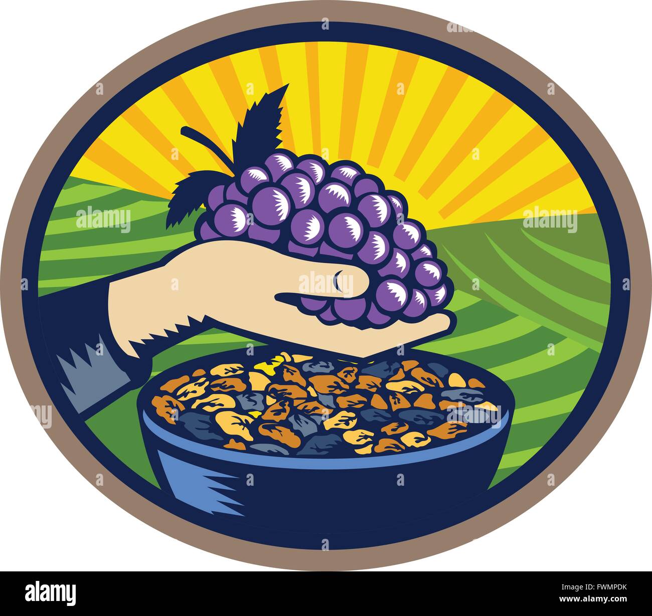 Hand holding grapes vineyard Stock Vector Images - Alamy