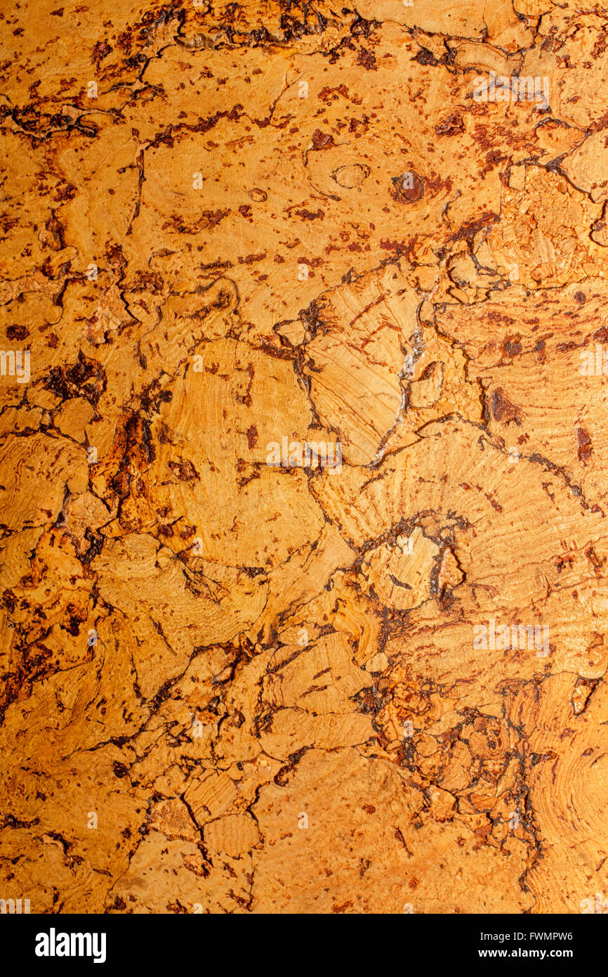 Texture of corkwood decoration material closeup Stock Photo - Alamy