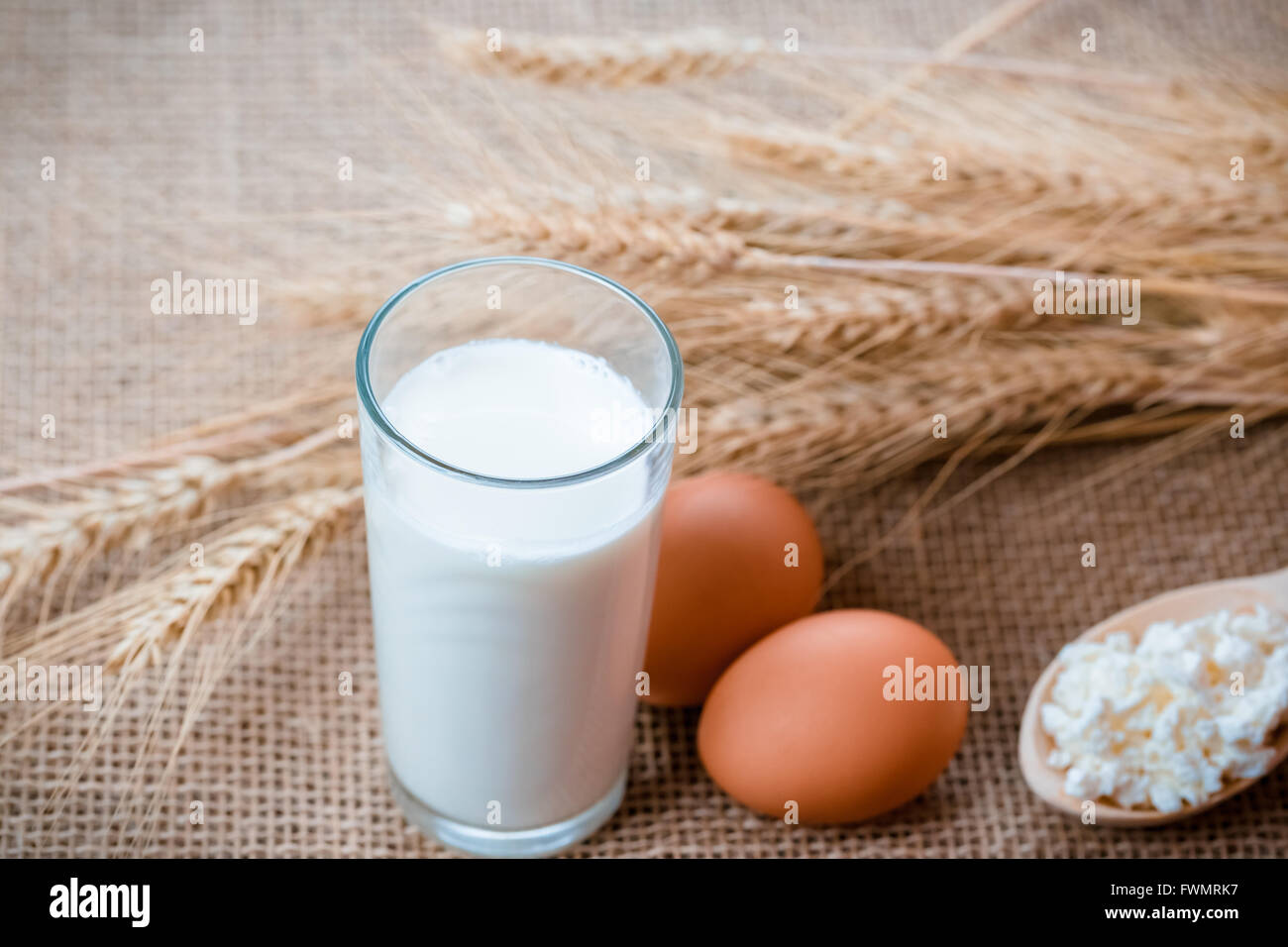 Cottage cheese, glass of milk, two eggs, wooden spoon with cottage ...