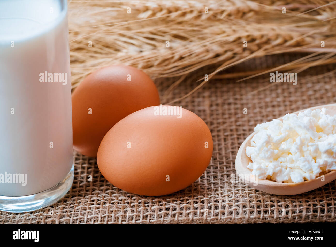 Cottage cheese, glass of milk, two eggs, wooden spoon with cottage ...