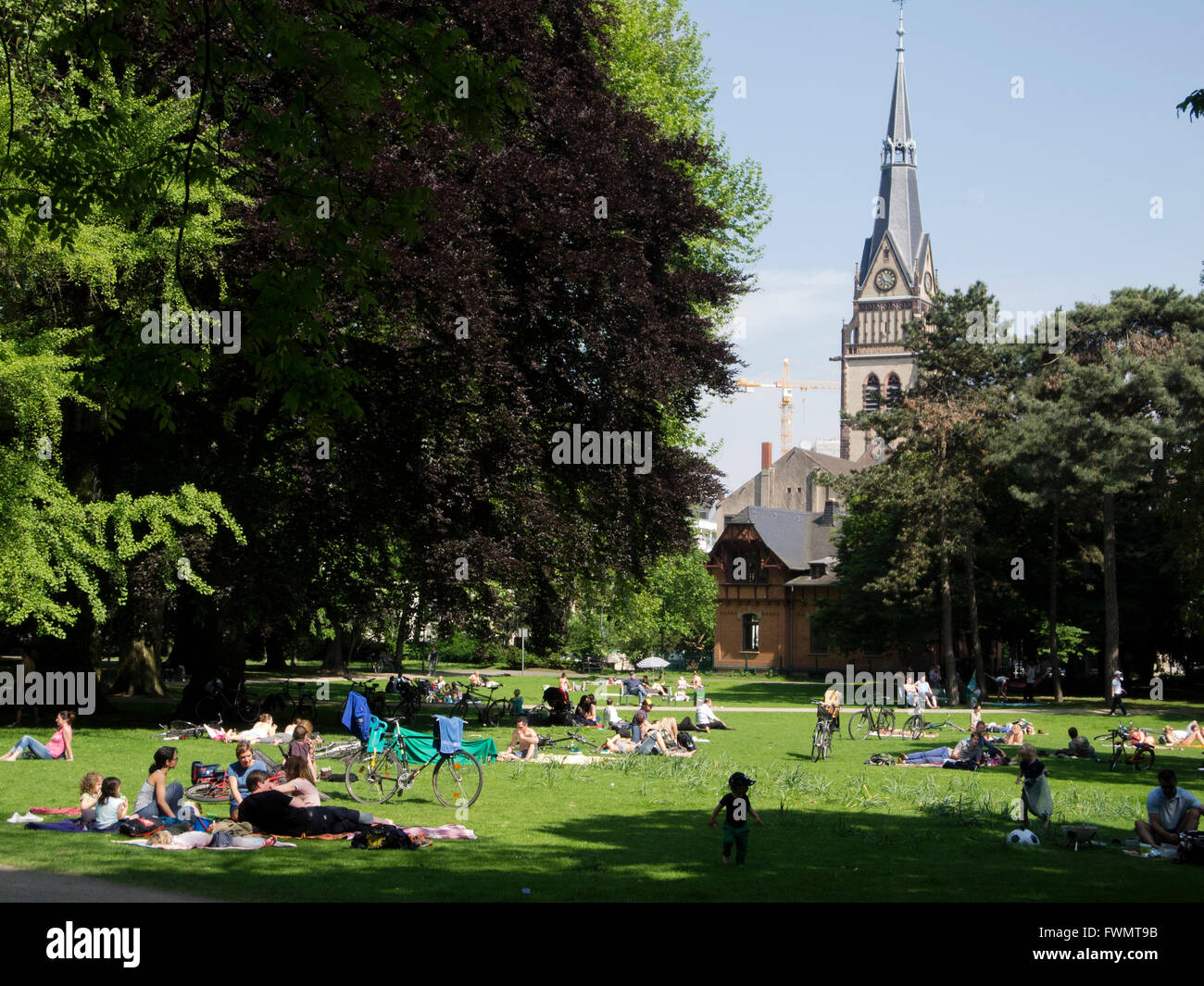 Stadtgarten köln hi-res stock photography and images - Alamy